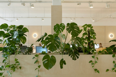 Projects — Pop Plant