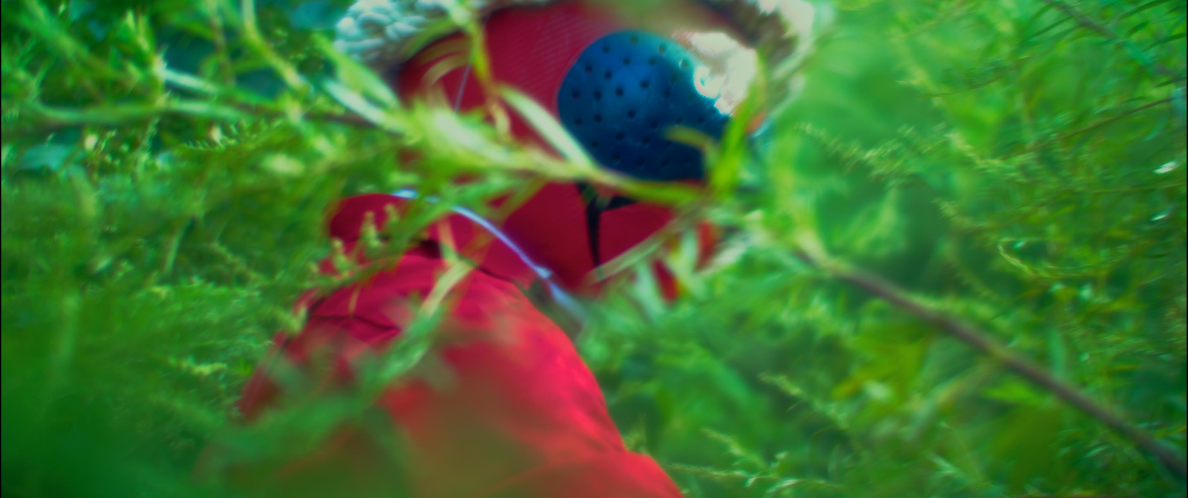 Finding Nemo Jacques I Am Ashamed