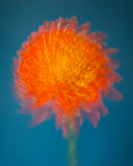 Personal — Paula Codoner