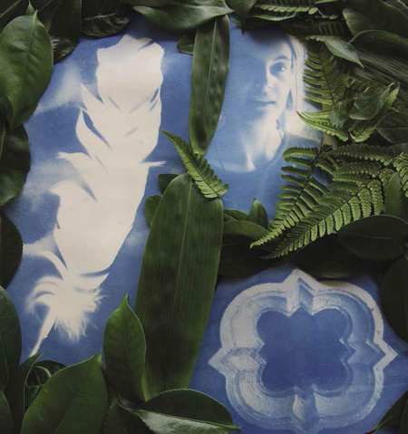 text — Elizabeth Coll