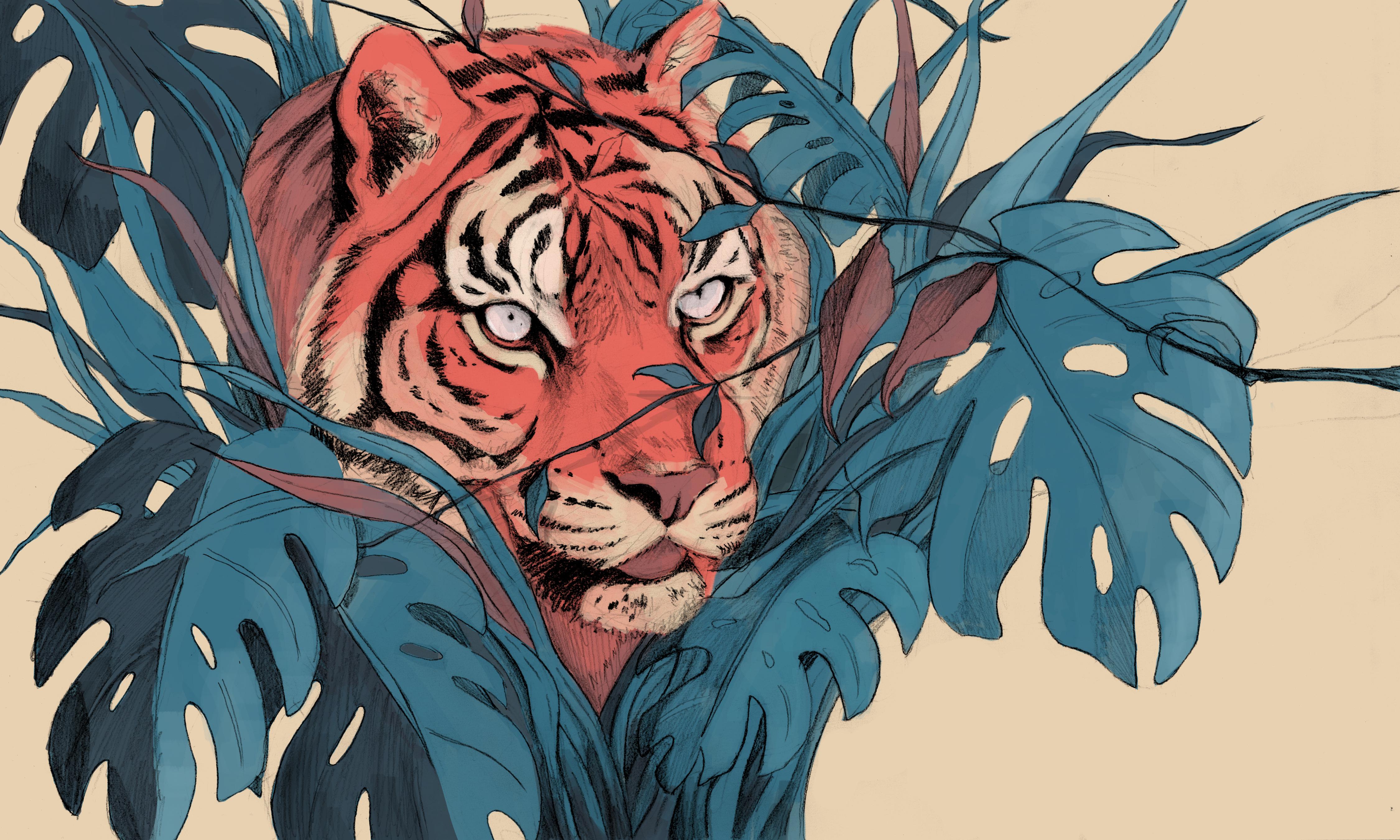 Tiger Drawing Tumblr