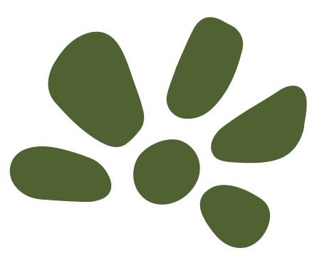 Mira Holifield | Graphic Design