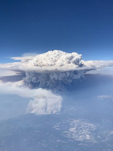 Currents - JP — Steven Akira Shimamoto