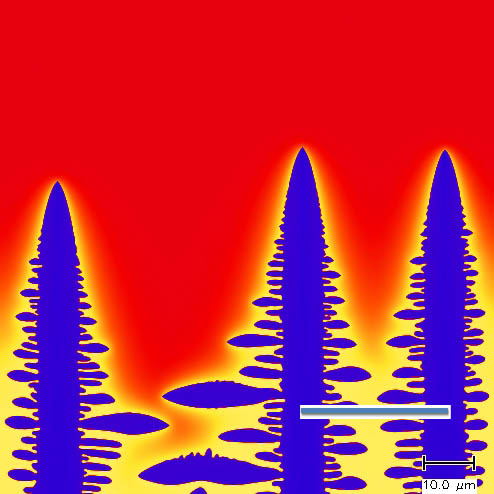 Model of dendritic solidification — Salar Niknafs