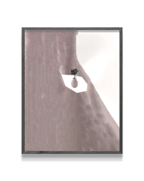 Images — Daniel C. Blight