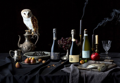 Andy Irwin - Creative Direction