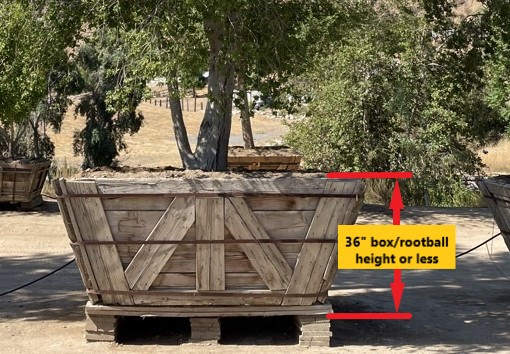 Shop Decision Tree Retrofit or Tree Planting Tube — Pop Up Sump Indicator