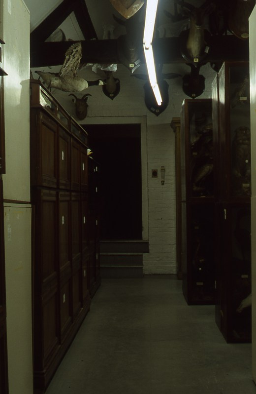 Museum storerooms — duncan mountford artworks