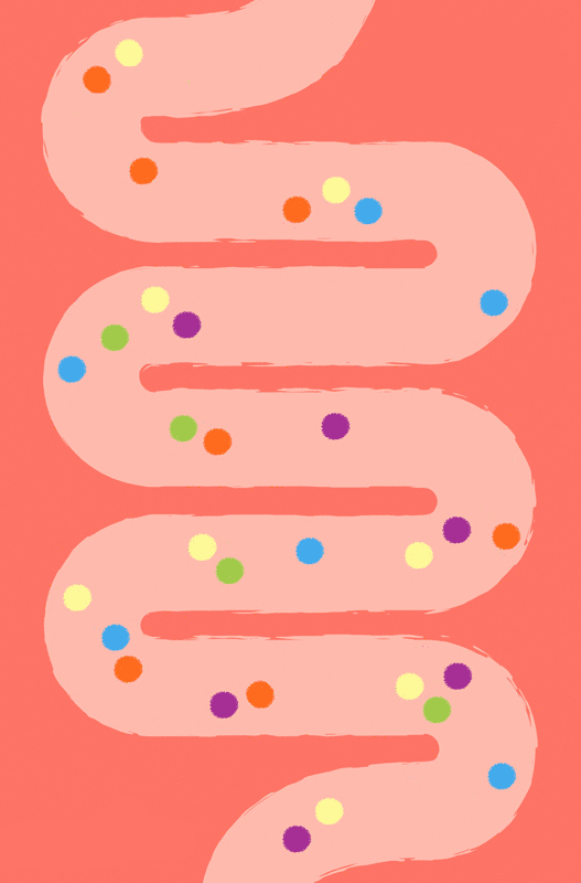 El intestino feliz — Júlia Gaspar Illustration & Graphic Design