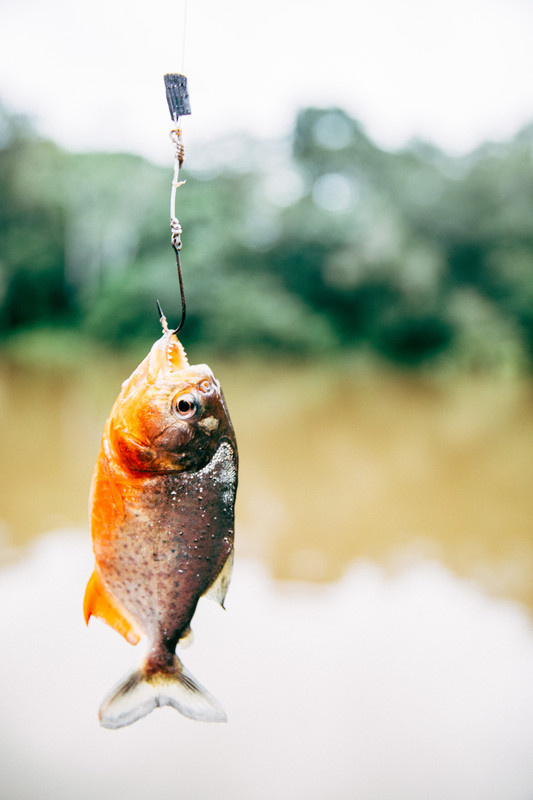 Tanveer Badal's Peru work in Schweizer Illustrierte Travel — Institute ...