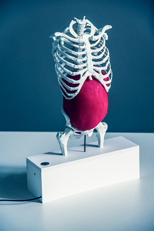 Folding models, detailed models and interior models — PK model ...