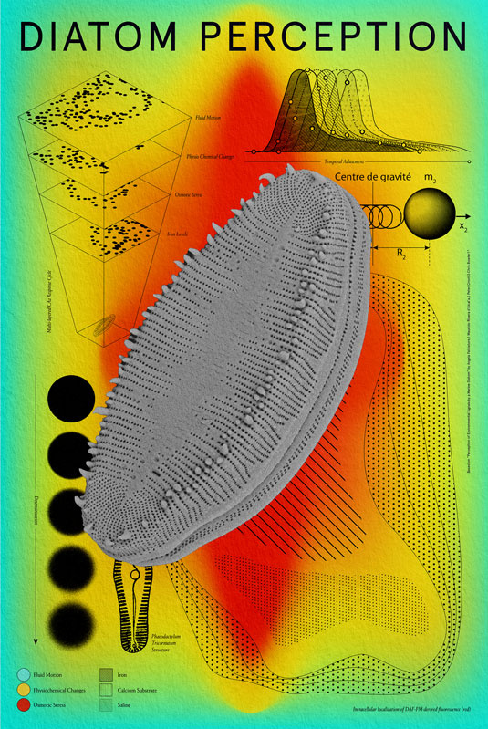 Diatomic Feeling — decreation studio