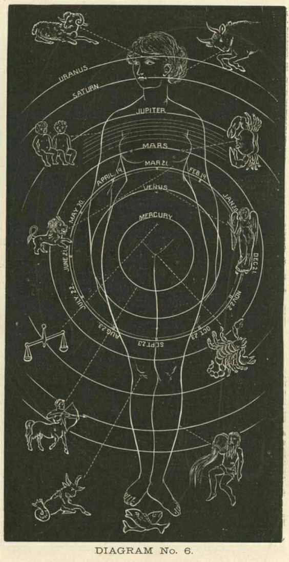 Heliacal Rising and Setting Star Class — Chloe Margherita