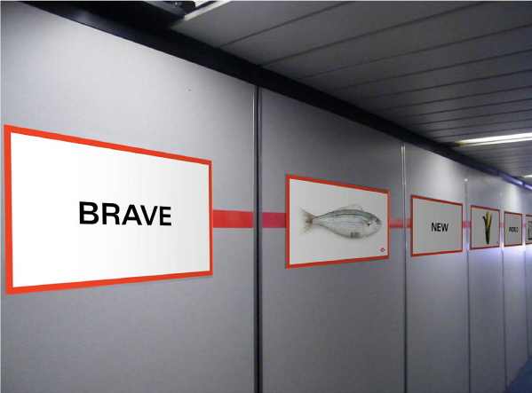 HSBC — kimjenkins.com