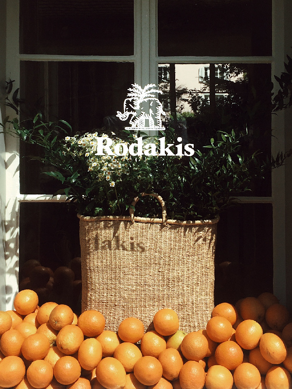 Intro: Academie — Rodakis