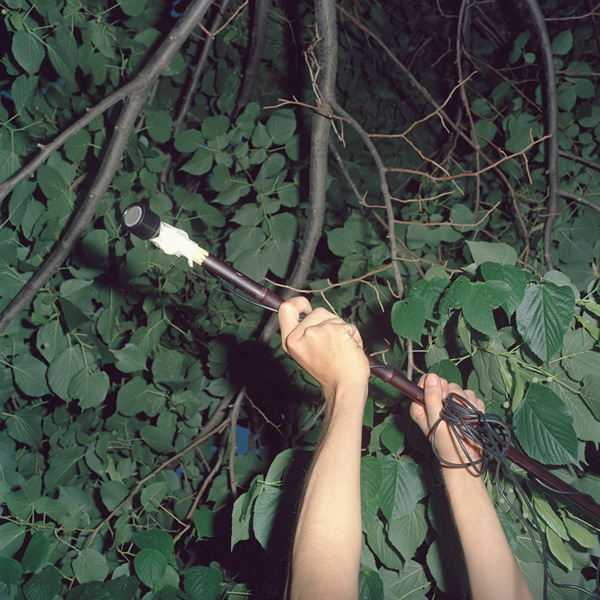 Practical Science — Fraser McCallum