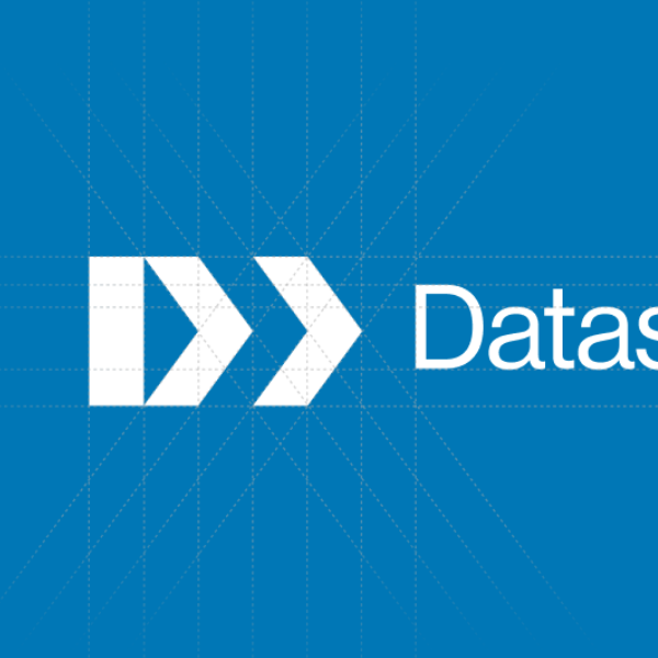 Datasaur — pcw design | peter c wong | design + creative