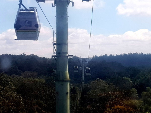 Client Portfolio — studioblended