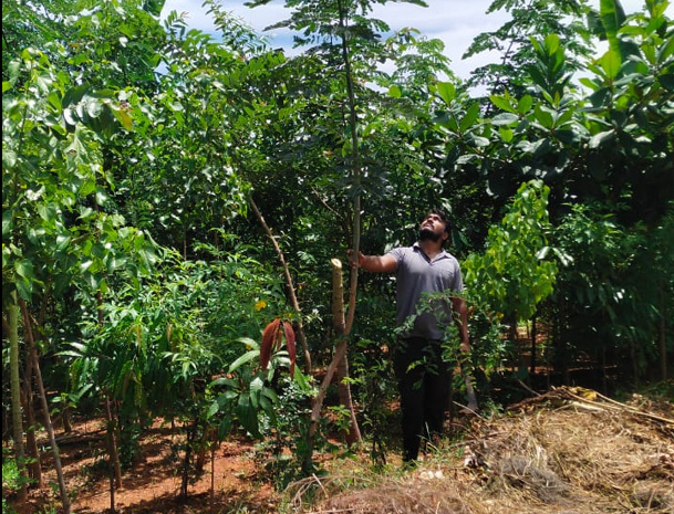 04 DON - Hemang Mistry — SEA CITY