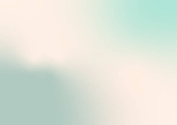 DUREEN TRUONG | Set Designer & Stylist