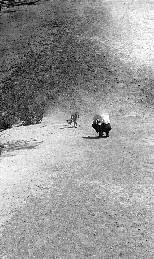 sad landscape — Eli Craven