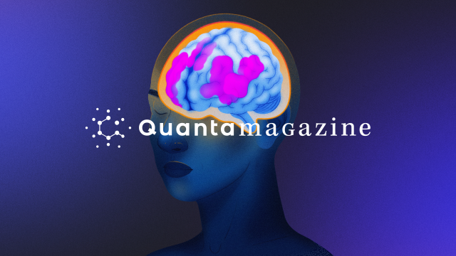Default Mode Network | Quanta Magazine — jiltaidesign