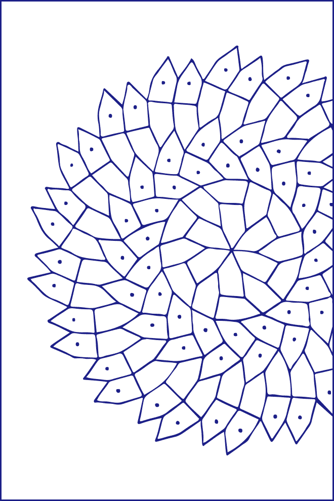 Pentagonal Tiling — ZIHAO LU