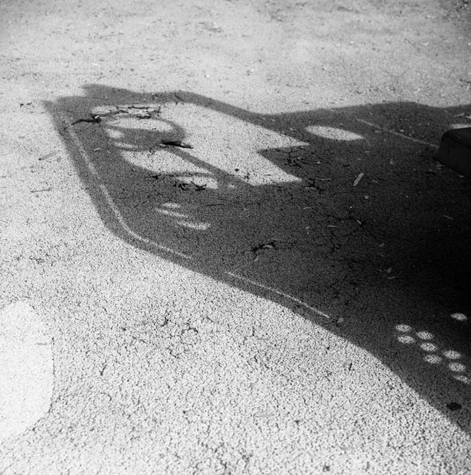 Past Shows — behindvashadows