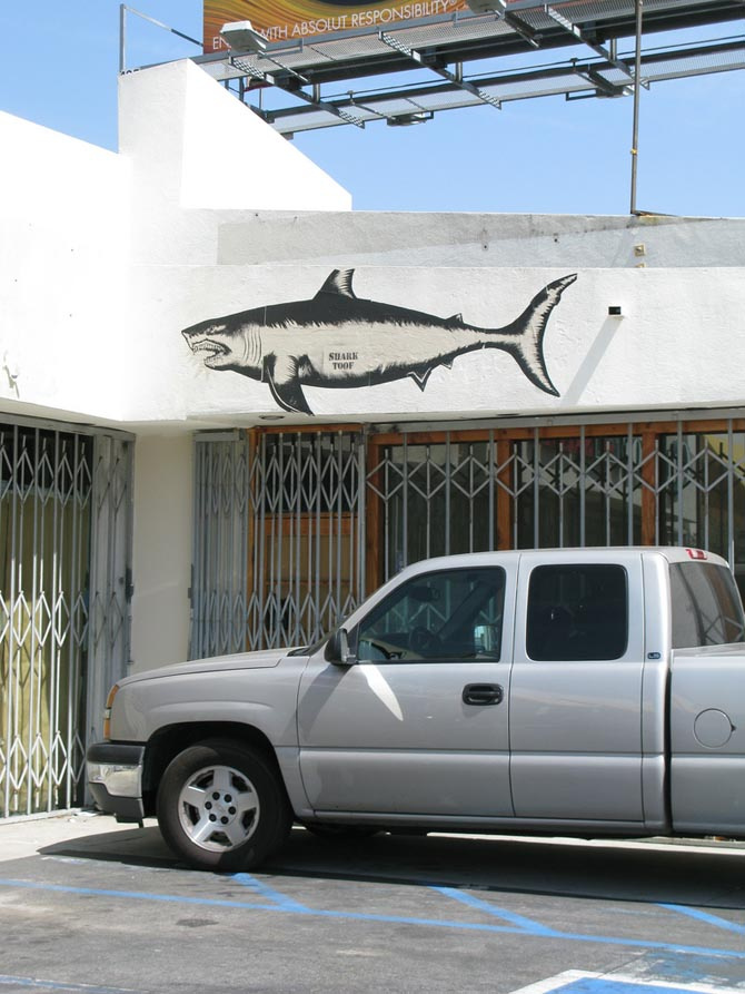Shark Toof, Shark Season in Los Angeles — unurth