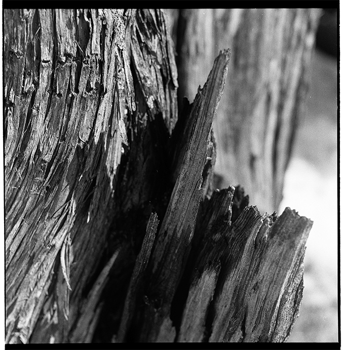 Phenomenal Transparency — Juliana Gutowski