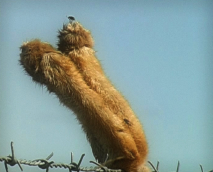 HEAT — DOMINIC REDFERN