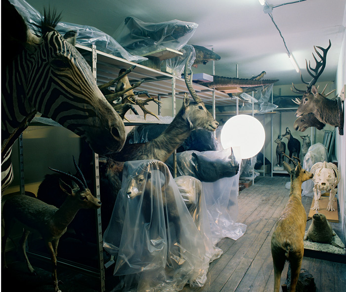 The ‘Taos Hum’ is a low-pitched sound heard in numerous places ...