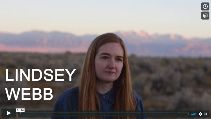 Issue 11 — Windfall Room