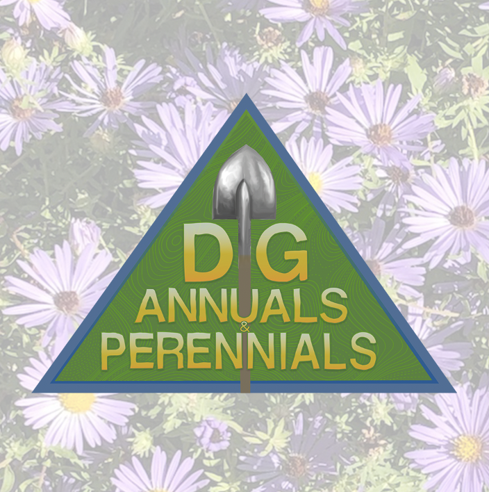 Dig Annuals and Perennials — Allana Ross