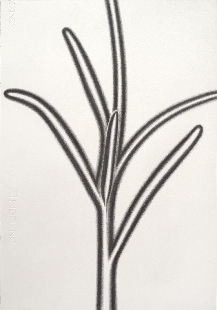 Aire de familia — NIEVES TORRALBA