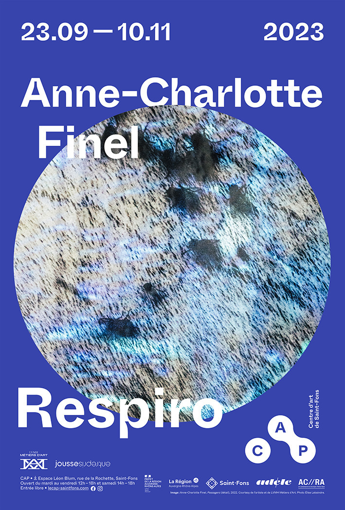 colonne gauche photo screen printing — Anne Charlotte Finel