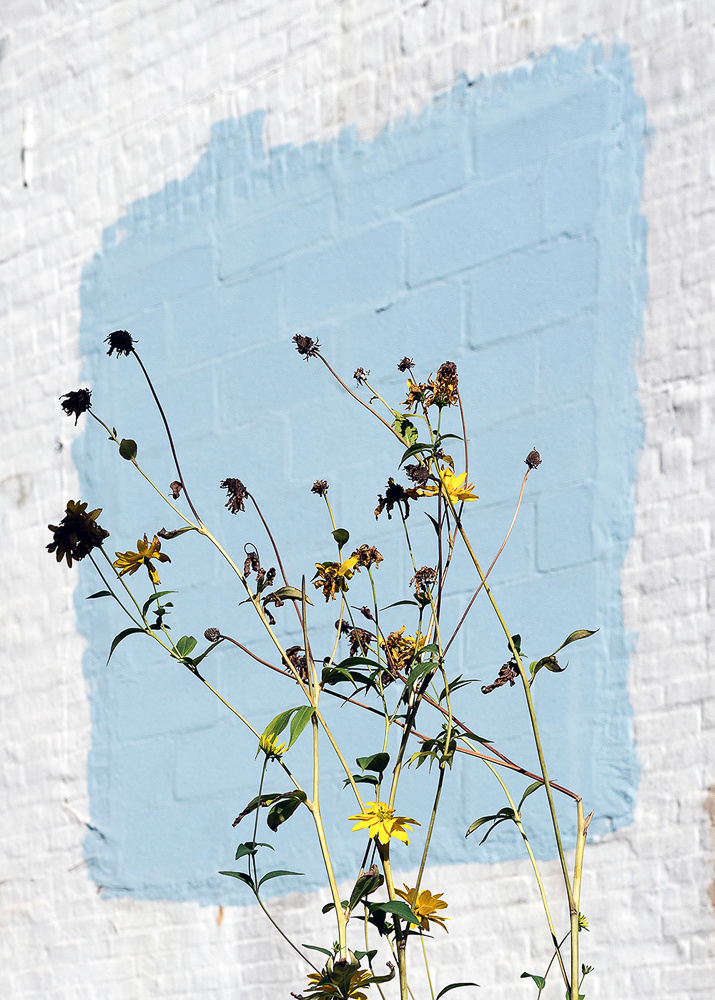 DAVID ROTHENBERG 2 — NOICE Magazine: Championing Unconventional Visual ...