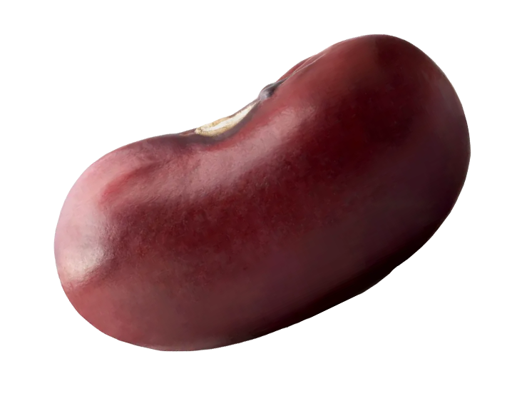 MEAT&Drag — More Meat Less Meat