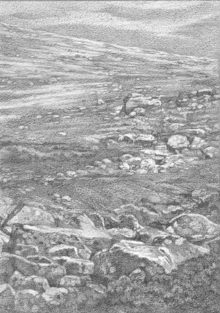 Tundra — Kristina Wheeat | Nature and bird illustration