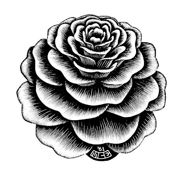 Unending Rose (2017–2019, rev. 2021) — Dongryul Lee, Composer