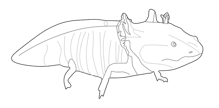 Ahuejote — Thinking Through Soil