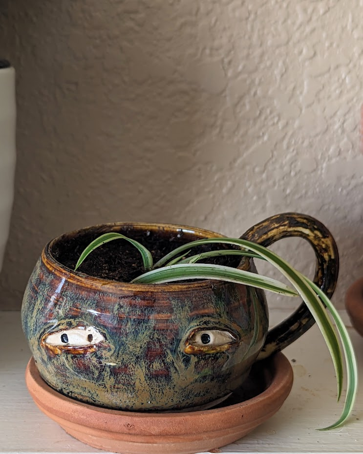 Pot - Rug — Eamon Quigley