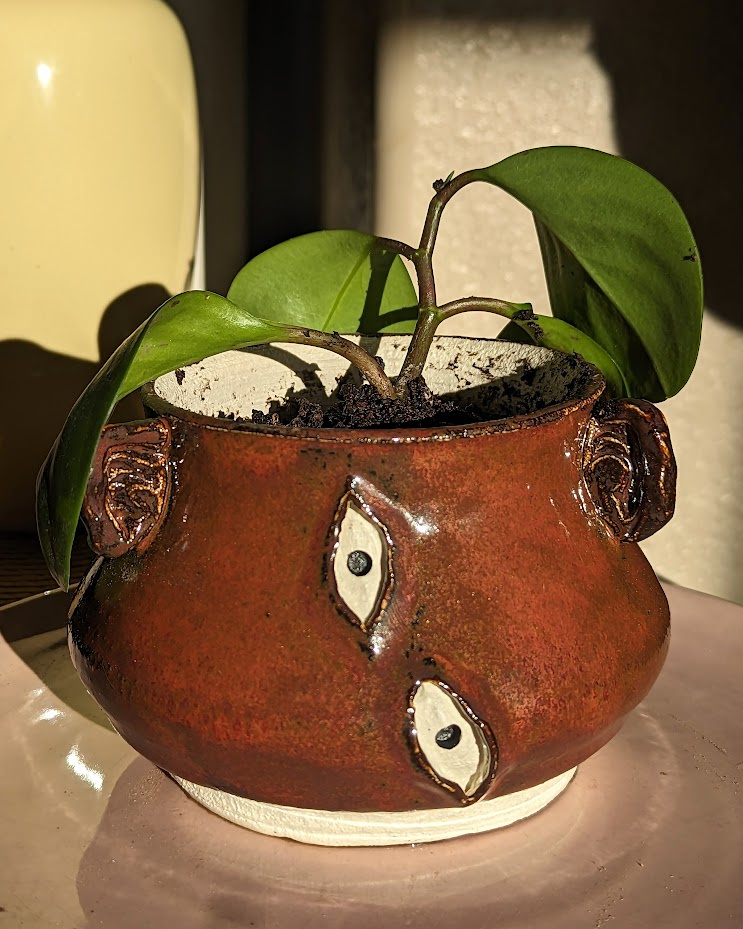 Pot - Josh — Eamon Quigley