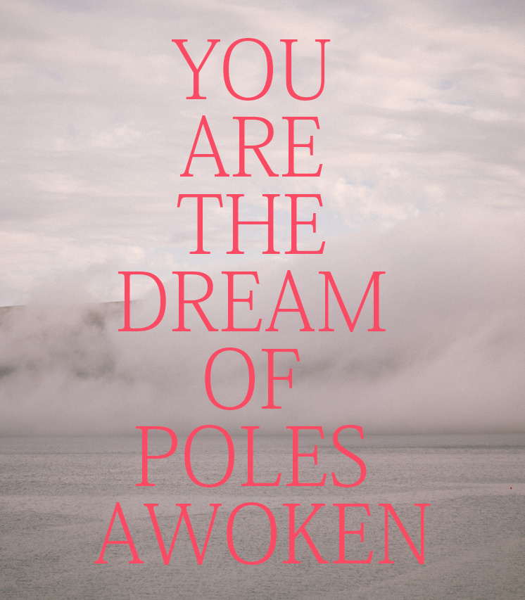 You Are The Dream Of Poles Awoken — aleyda rocha