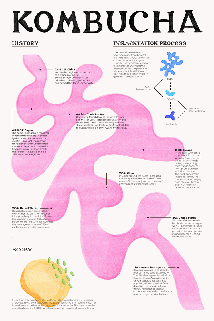 Kombucha Map — Grace's Portfolio