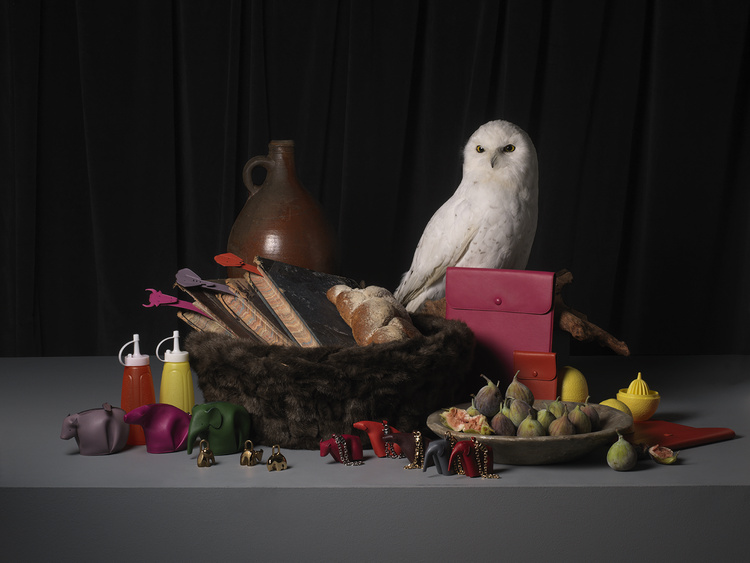 Matthew Donaldson — matthewdonaldson