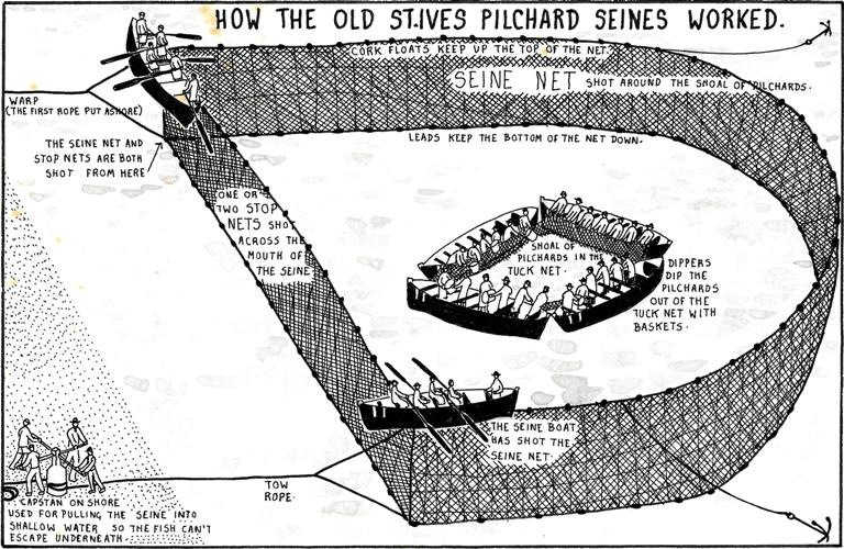 Pilchards and Troyls — The Backward Vendor