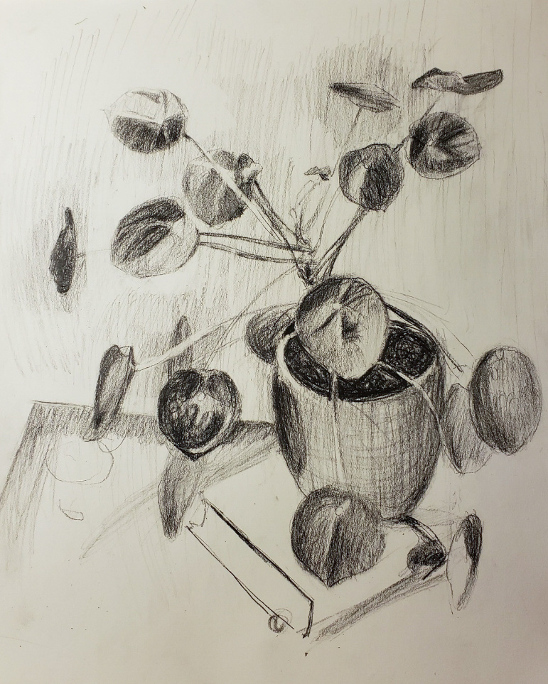 Plant Studies — Ed Rutowski Art