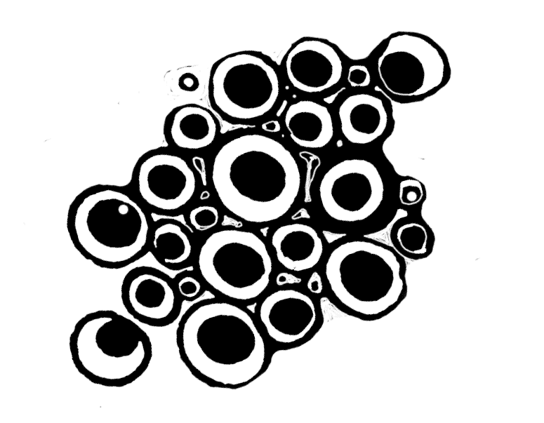 Portfolio — Allana Ross