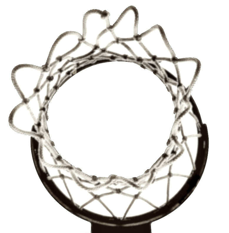 The Thirteen Principles — How Basketball Can Save the World